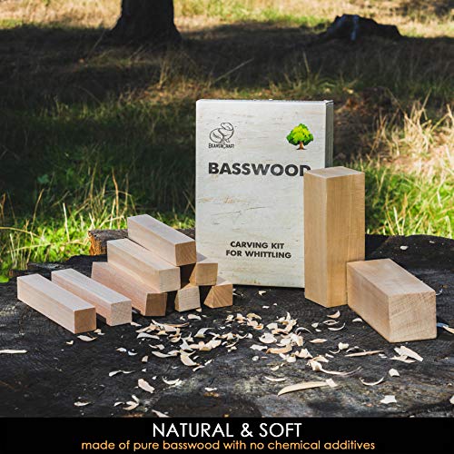 BeaverCraft BW10 Basswood Carving Blocks Set - Basswood for Wood Carving - Wood Blocks - Whittling Wood Carving Wood Blocks for Carving