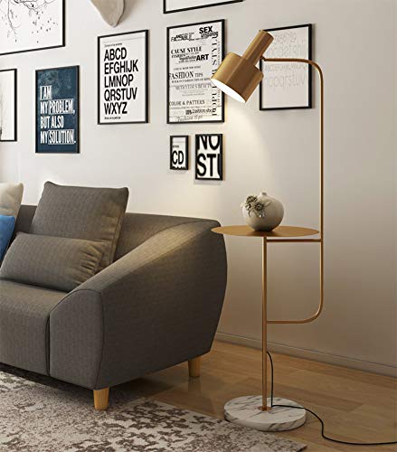 Hsyile Lighting KU300217 Contemporary Modern Creative Floor Lamp with a Table,Suitable for Living Room,Den,Office,Bedroom - E26 Bulb - Brushed Brass Finish