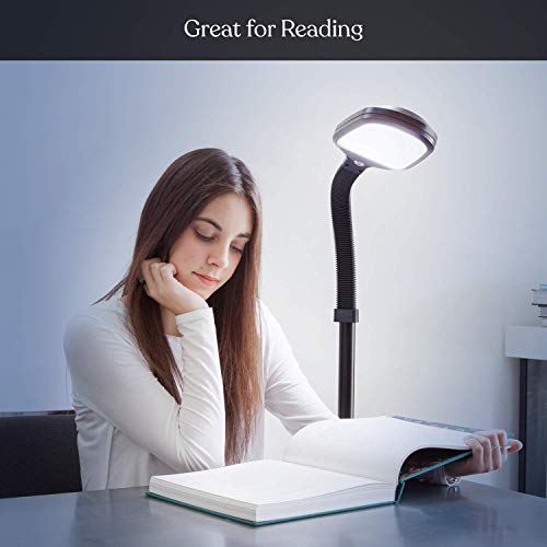 Brightech Litespan - Bright LED Floor Lamp for Crafts and Reading, Estheticians' Light for Lash Extensions, Adjustable Gooseneck Standing Lamp for Living Room, Bedroom and Office - Jet Black