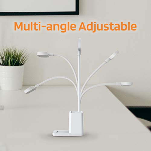 LED Small Desk Lamp, AXX Desk Lamps for Home Office, White Desk Light for Kids, Desktop/Computer Study Lamps for Bedrooms, Rechargeable, Battery Operated, Pen Holder, Adjustable Gooseneck Reading Lamp