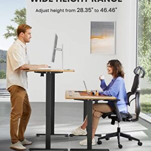 ErGear Height Adjustable Electric Standing Desk, 48 x 24 Inches Sit Stand up Desk, Memory Computer Home Office Desk (Vintage Brown)