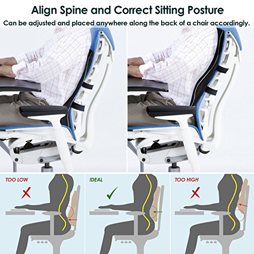 Lumbar Support Pillow/Back Cushion, Memory Foam Orthopedic Backrest for Car Seat, Office/Computer Chair and Wheelchair,Breathable & Ergonomic Design for Back Pain Relief