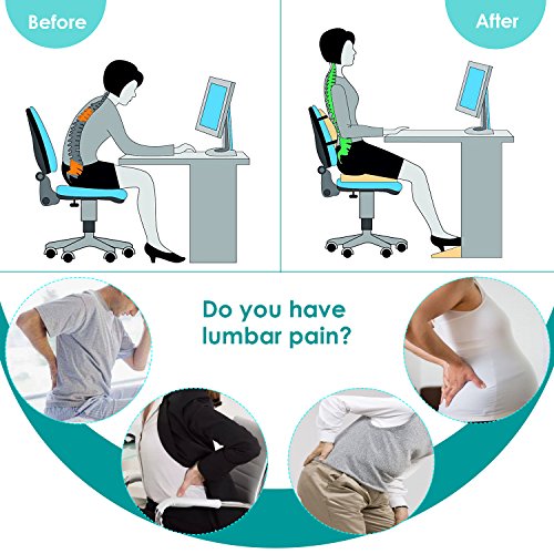 Lumbar Support Pillow/Back Cushion, Memory Foam Orthopedic Backrest for Car Seat, Office/Computer Chair and Wheelchair,Breathable & Ergonomic Design for Back Pain Relief