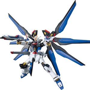 Hg 1/144 Strike Freedom Gundam