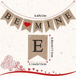 Be Mine Burlap Banner Lighted Valentine's Day Linen Banner Be Mine Linen Garland Valentine's Day Photo Props Proposal Sign Decorations and Warm White Copper Wire Lights with 8 Flashing Patterns