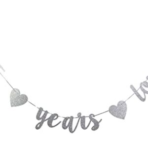 StarsGarden Glitter 25 Years Loved Banner – It's My Fabulous 25th Banner -25th Birthday Banner Decorations - Cheers to 25 Years Milestone Happy Birthday Decorations(Silver 25)