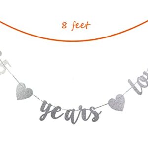 StarsGarden Glitter 25 Years Loved Banner – It's My Fabulous 25th Banner -25th Birthday Banner Decorations - Cheers to 25 Years Milestone Happy Birthday Decorations(Silver 25)