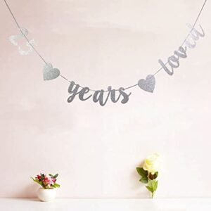 StarsGarden Glitter 25 Years Loved Banner – It's My Fabulous 25th Banner -25th Birthday Banner Decorations - Cheers to 25 Years Milestone Happy Birthday Decorations(Silver 25)