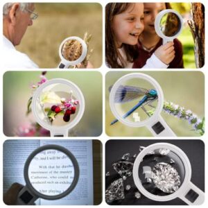 Magnifying Glass with Light, 30x Handheld Large Magnifying Glass, LED Illuminated Magnifier, Double Layer optial Glass Lens for Macular Degeneration, Seniors Reading Children Nature Exploring