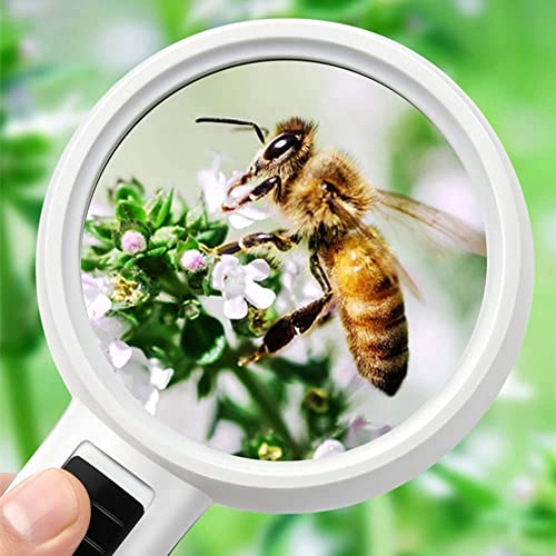 Magnifying Glass with Light, 30x Handheld Large Magnifying Glass, LED Illuminated Magnifier, Double Layer optial Glass Lens for Macular Degeneration, Seniors Reading Children Nature Exploring