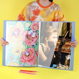 Diamond Painting Storage Presentation Book 2 Pieces A3 30 Clear Pockets Sleeves Protectors Art Portfolio Clear Book, Binder for Artist, Photo Album Refill Page, Large Portfolio Folder(17*12in)