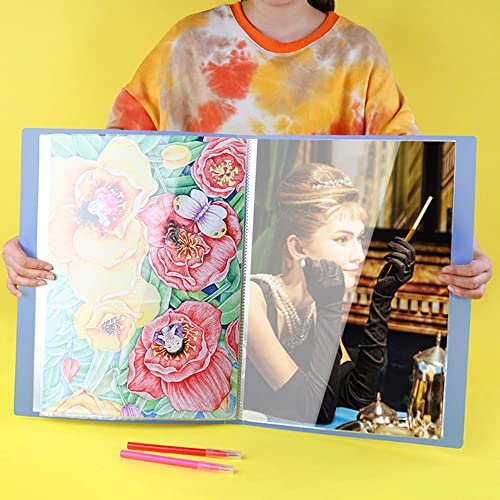 Diamond Painting Storage Presentation Book 2 Pieces A3 30 Clear Pockets Sleeves Protectors Art Portfolio Clear Book, Binder for Artist, Photo Album Refill Page, Large Portfolio Folder(17*12in)