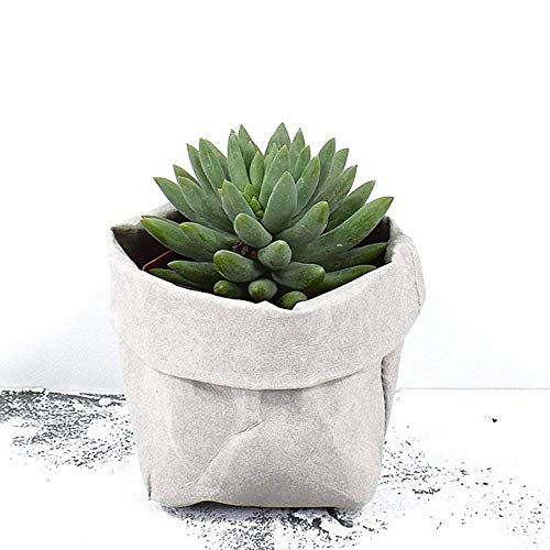 4Pack-4''x4''x7.8'' Mini Succulents Kraft Paper Flower Pot Cover Decoration Folding Washable Kraft Paper Storage Bag Container for Fruit Food Succulent Planting Household Wrap Pet (M)