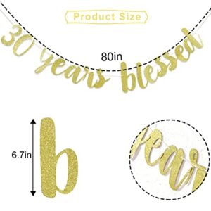 30 Years Blessed Banner - 30th Birthday Banner,30th Birthday Banner Party Decorations,30th Anniversary Banner,30 Birthday Banner Sign