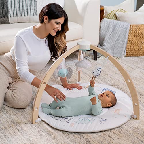 aden + anais Play and Discover Baby Activity Gym – 30+ Developmental Benefits - 3 Attachable Toys + Plush Tummy Time Pillow – 100% Cotton Muslin – Machine Washable