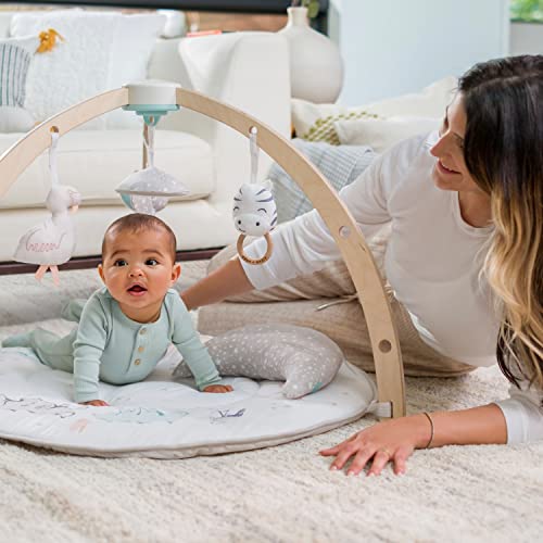 aden + anais Play and Discover Baby Activity Gym – 30+ Developmental Benefits - 3 Attachable Toys + Plush Tummy Time Pillow – 100% Cotton Muslin – Machine Washable