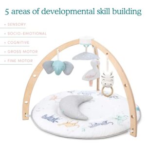 aden + anais Play and Discover Baby Activity Gym – 30+ Developmental Benefits - 3 Attachable Toys + Plush Tummy Time Pillow – 100% Cotton Muslin – Machine Washable