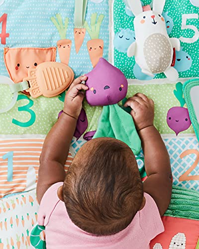 Skip Hop Baby Tummy Time Playmat, Farmstand