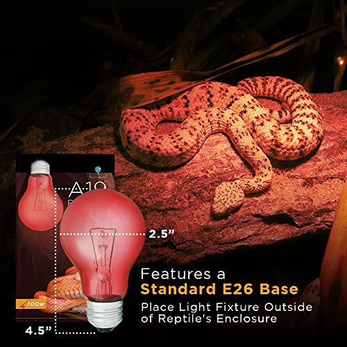 Bluex Bulbs 4 Pack A19 60W Red Night Reptile Heat Bulb - Night Basking Light E26 - Terrarium Heat Source for Lizards Turtles Snakes & Bearded Dragons Promotes Appetite Metabolism & Natural Behavior