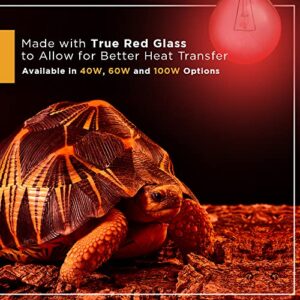 Bluex Bulbs 4 Pack A19 60W Red Night Reptile Heat Bulb - Night Basking Light E26 - Terrarium Heat Source for Lizards Turtles Snakes & Bearded Dragons Promotes Appetite Metabolism & Natural Behavior