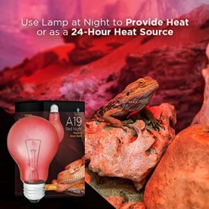 Bluex Bulbs 4 Pack A19 60W Red Night Reptile Heat Bulb - Night Basking Light E26 - Terrarium Heat Source for Lizards Turtles Snakes & Bearded Dragons Promotes Appetite Metabolism & Natural Behavior