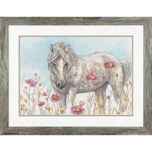 Dimensions Wild Horse Counted Cross Stitch Kit, Multi-Color