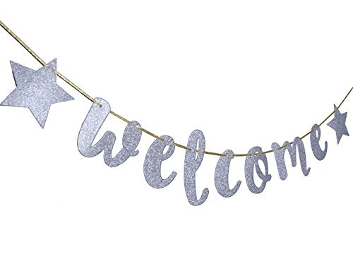 Welcome Little One Glitter Banner, Baby Shower, Gender Reveal Party, Glitter Party Decor (Silver)