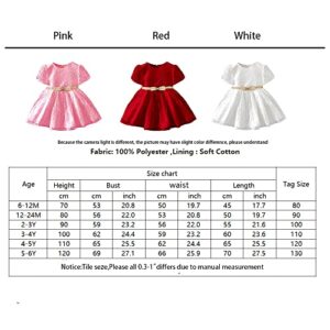 MITUN SEMI Toddler Baby Flower Girls Dress Floral Lace Christmas Birthday Party Elegant Midi Dress Gift White-Belt 6-12M