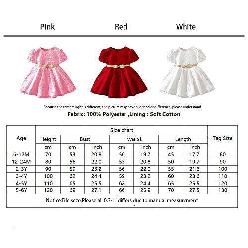 MITUN SEMI Toddler Baby Flower Girls Dress Floral Lace Christmas Birthday Party Elegant Midi Dress Gift White-Belt 6-12M