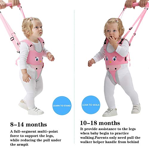 IULONEE Baby Walker, Handheld Kids Toddler Walking Harness Helper Assistant Protective Belt Child Activity Walker Adjustable Standing Up Walking Learning Helper for Toddler 7-24 Month (Pink)