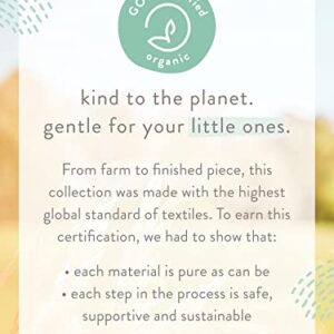 Little Planet by Carter's Baby Boys' Organic Cotton Wrap Sleep & Play baby boys Organic Cotton Wrap Play and Toddler Sleepers, Safari, 9 Months US