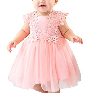 Happy Cherry Baby Girls Sleeveless Lace Formal Dress for Party Wedding 3-24 Months Pink