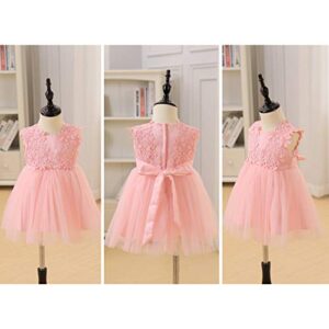 Happy Cherry Baby Girls Sleeveless Lace Formal Dress for Party Wedding 3-24 Months Pink