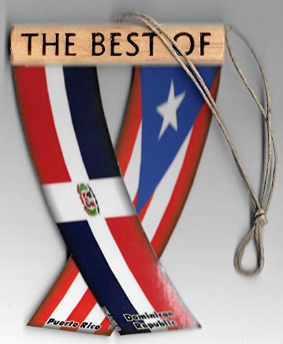 PUERTO RICO AND DOMINICAN REPUBLIC DOMIRICAN BORICUA DOMINICANO CARIBBEAN REARVIEW MIRROR MINI BANNER HANGING FLAGS FOR THE CAR UNITY FLAGZ™