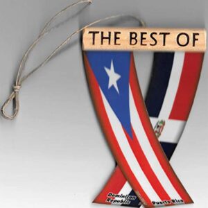 PUERTO RICO AND DOMINICAN REPUBLIC DOMIRICAN BORICUA DOMINICANO CARIBBEAN REARVIEW MIRROR MINI BANNER HANGING FLAGS FOR THE CAR UNITY FLAGZ™