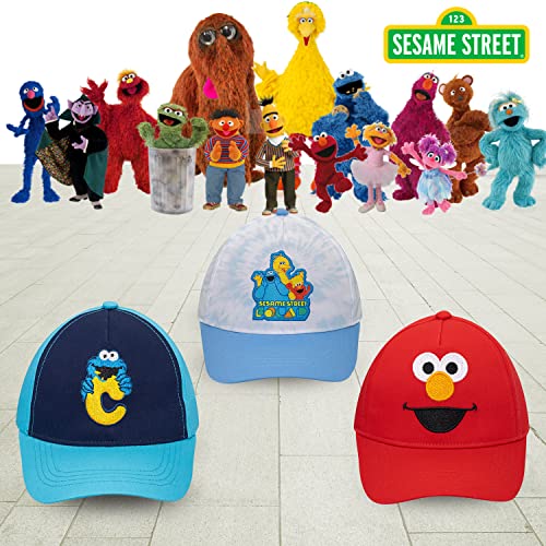 Cookie Monster Toddler Hat for Boys, Sesame Street Toddler Baseball Cap, Sesame Street Toddler Baseball Hat with Cookie Monster