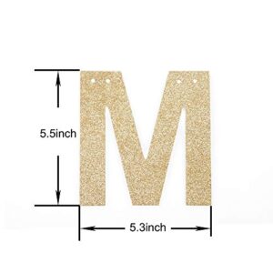 I AM 24+1 Banner, 25th Birthday Party Backdrops Funny/Gag 25 Bday Party Decorations Gold Gliter Paper Sign