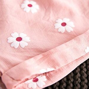 oklady Toddler Girl Clothes Ruffle Floral Embroidery Shirt and Shorts Set (Pink-A, 3-4 T)