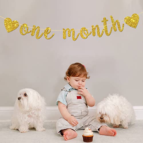 INNORU One Month Banner, Baby Shower Party Decorations, Newborn Sign Banner, New Baby - Gender Reveal - Happy 30 Days Party Decorations, Gold Glitter