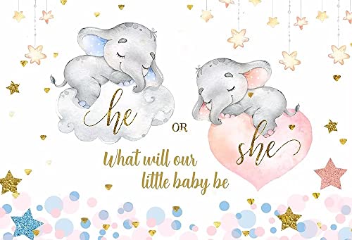 He or She Elephant Gender Reveal Backdrop Soft Cloud and Stars What Will Our Baby Be Boy or Girl Baby Shower Background Decoration Banner 200x150cm W-8192