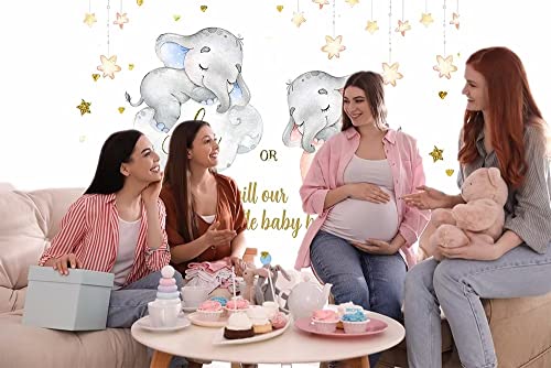 He or She Elephant Gender Reveal Backdrop Soft Cloud and Stars What Will Our Baby Be Boy or Girl Baby Shower Background Decoration Banner 200x150cm W-8192