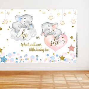 He or She Elephant Gender Reveal Backdrop Soft Cloud and Stars What Will Our Baby Be Boy or Girl Baby Shower Background Decoration Banner 200x150cm W-8192