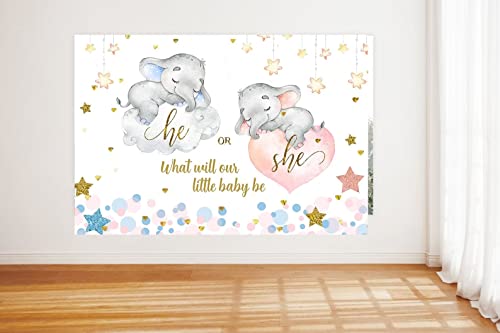 He or She Elephant Gender Reveal Backdrop Soft Cloud and Stars What Will Our Baby Be Boy or Girl Baby Shower Background Decoration Banner 200x150cm W-8192