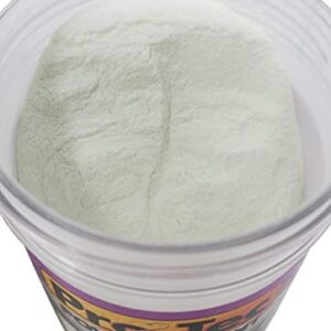 Pro-Tec Powder Paint 2 oz Jar (Glow White)