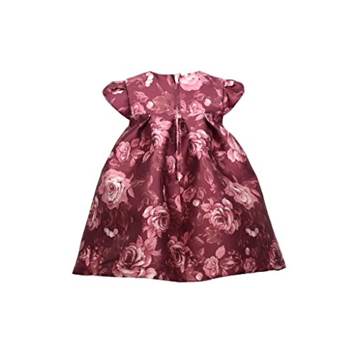 Bonnie Jean Baby Girl's Special Occasion Dress, Burgundy, 24 Months