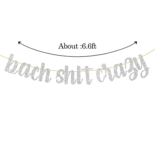 WeBenison Bach Shit Crazy Banner / Funny Bachelorette Engagement Party Banner / Bridal Shower Party Decoration Supplies / Silver Glitter