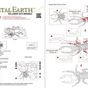 Metal Earth Tarantula Spider 3D Metal Model Kit Fascinations