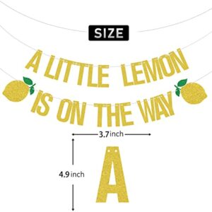 A Little Lemon is on the Way Banner Gold Glitter, Lemon Party Decorations, Lemon Baby Shower Banner, Fruit Baby Shower Banner, Lemon Baby Banner, Lemon Themed Baby Shower Birthday Party Decorations