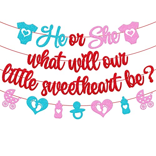 He or She What Will Our Little Sweetheart Be Banner Happy Valentine's Day Gender Reveal Boy or Girl He or She Heart Love Romantic celebration Decorations Baby Shower Party Supplies