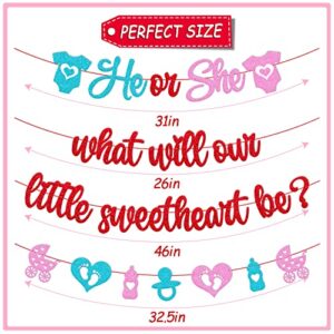 He or She What Will Our Little Sweetheart Be Banner Happy Valentine's Day Gender Reveal Boy or Girl He or She Heart Love Romantic celebration Decorations Baby Shower Party Supplies